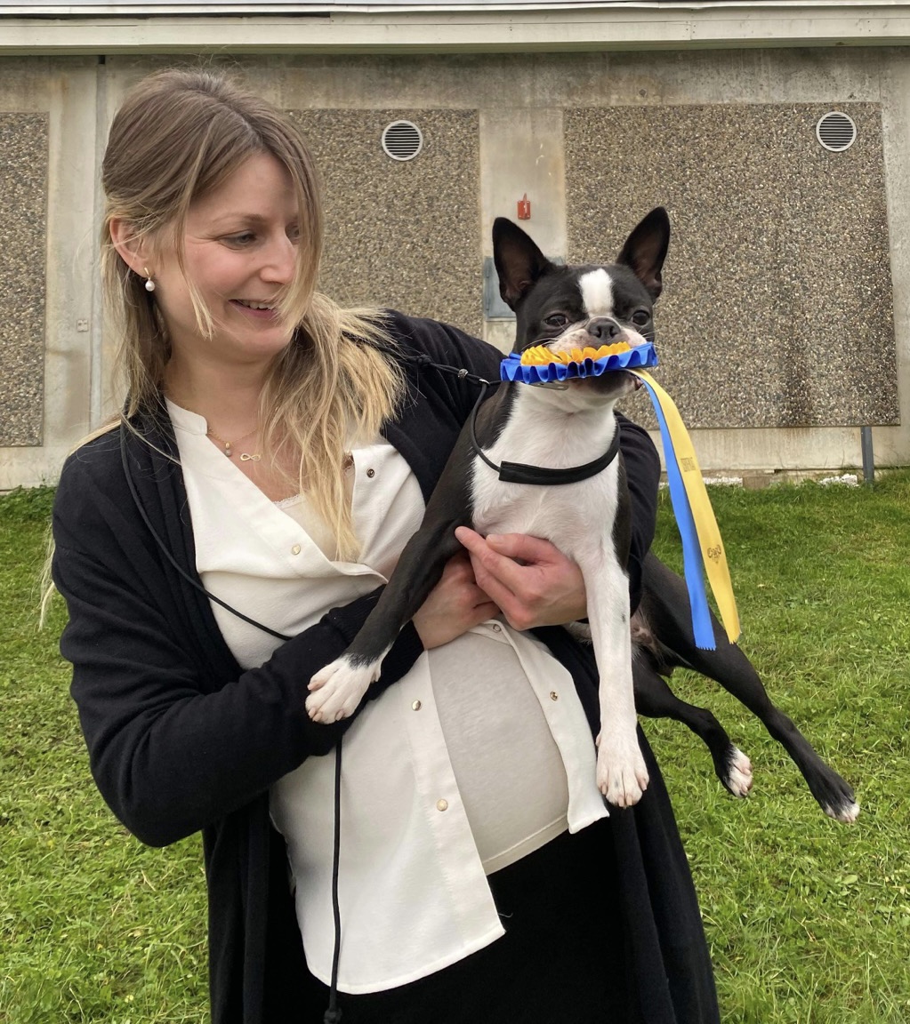 SUNDSVALL INTERNATIONELLA HUNDUTSTÄLLNING – BRINGEMO BOSTONTERRIERS