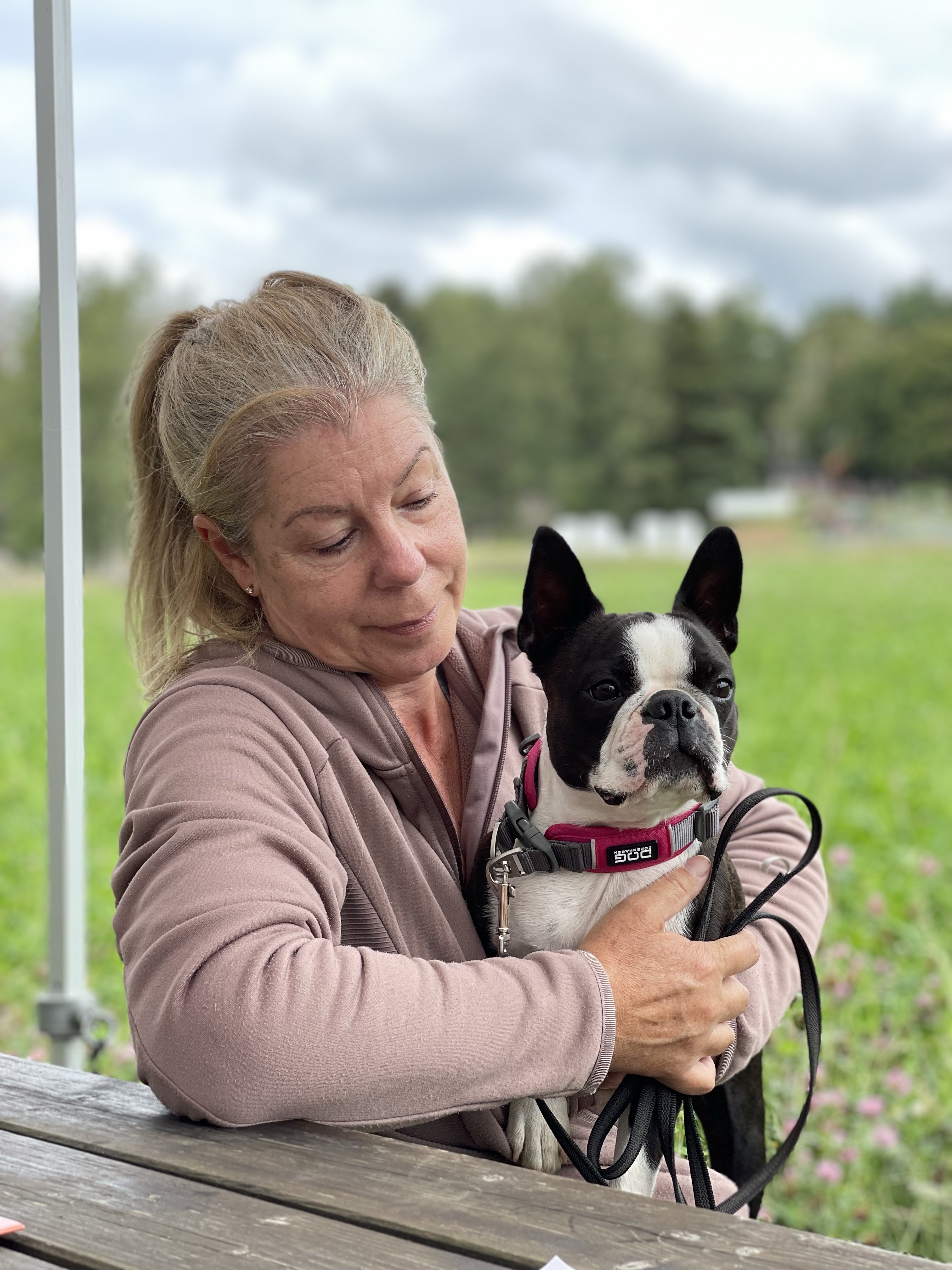 BPH – BRINGEMO BOSTONTERRIERS