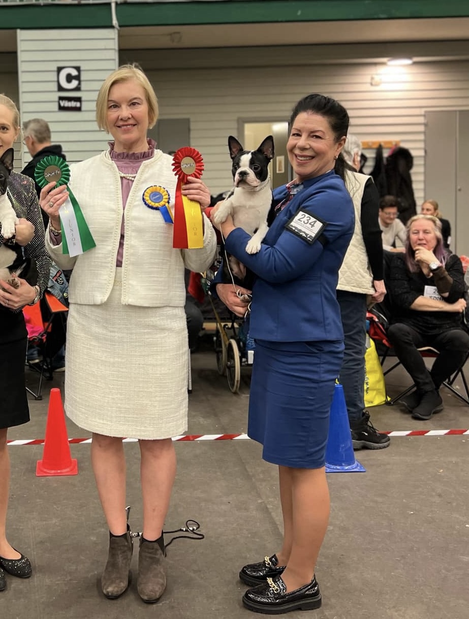 DEBUT FÖR STYLA – BRINGEMO BOSTONTERRIERS