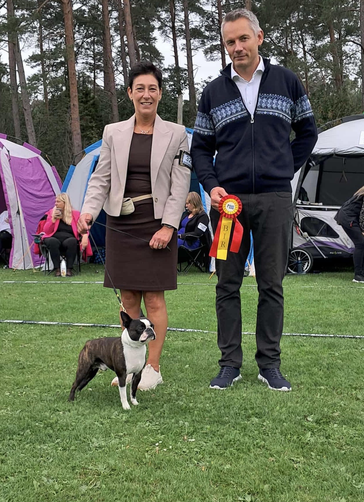 Ännu en Svensk CHAMPION🇸🇪 – BRINGEMO BOSTONTERRIERS